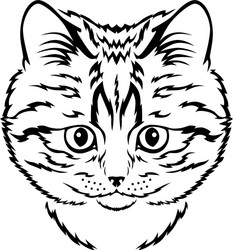 Kitten Vector Images (over 110,000)