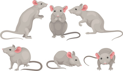 Flat icon of small mouse domestic rodent Vector Image
