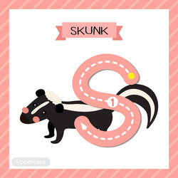 Letter s tracing skunk Royalty Free Vector Image