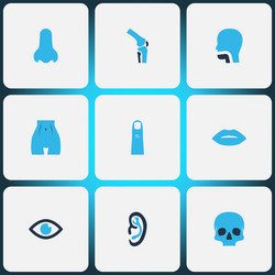 Cranium Skull Nose Vector Images (39)