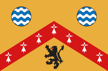 Flag county laois in ireland Royalty Free Vector Image