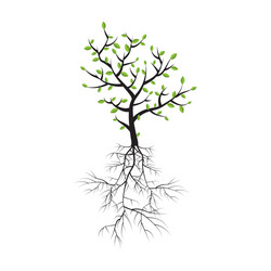 Tree roots Royalty Free Vector Image - VectorStock