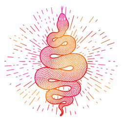 Coiled Snake Vector Images (over 1,500)
