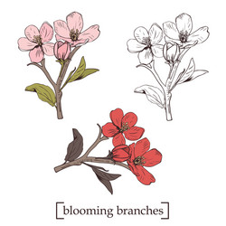 Blooming tree hand drawn botanical blossom Vector Image