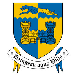 Flag county longford in ireland Royalty Free Vector Image