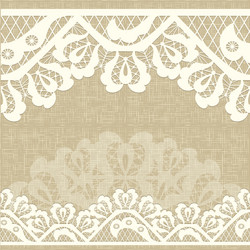 Elegant background with lace ornament and place Vector Image