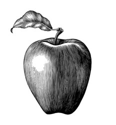 Woodcut Apple Illustration