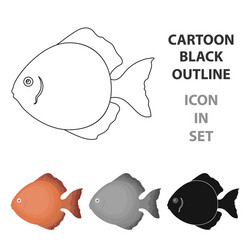Discus fish icon cartoon singe aquarium Royalty Free Vector