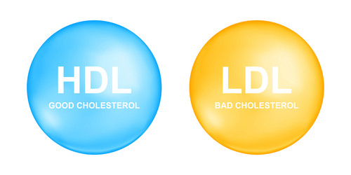 Hdl and ldl cholesterol types good bad Royalty Free Vector