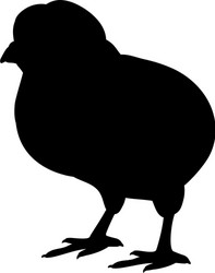 Baby Chick Silhouette