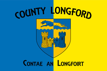Flag county longford in ireland Royalty Free Vector Image