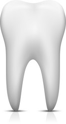 Tooth Vector Images (over 130,000)