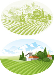 Country Vector Images (over 980,000)