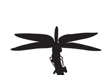 Dragonfly Silhouette Vector Images (over 3,900)