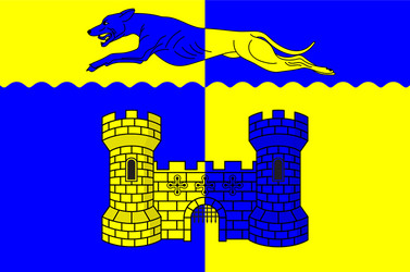 Flag county longford in ireland Royalty Free Vector Image