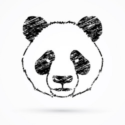 Panda Front View Vector Images (66)