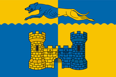 Flag county longford in ireland Royalty Free Vector Image
