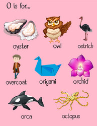 Letter O Flashcards Vector Images (over 220)