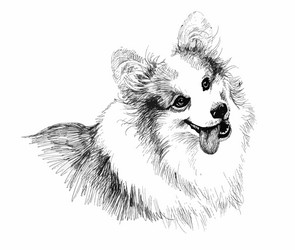 Puppy dog hand drawn sketch Royalty Free Vector Image