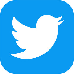 Twitter bird logo icon realistic social media Vector Image