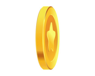 Golden money rotating gold coin Royalty Free Vector Image