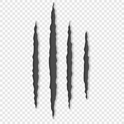 Slash cut scratches realistic monster claw marks Vector Image