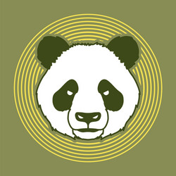 Panda Front View Vector Images (66)