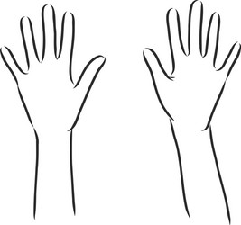 Isolated elegant female hand drawn linear Vector Image