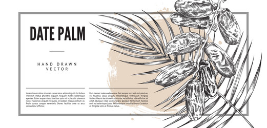 Date Tree Vector Images (over 11,000)