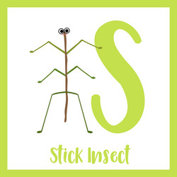 Walk Flashcard Vector Images (31)