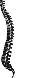 Simple Spine Vector Images (over 3,000)