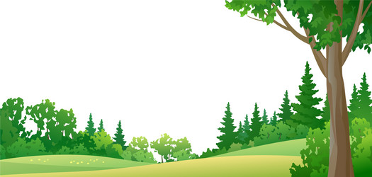 Forest Border Vector Images (over 21,000)