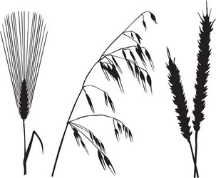 Crops Vector Images (over 110,000)
