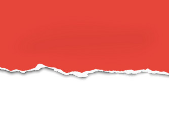 Torn a half sheet white paper from bottom Vector Image