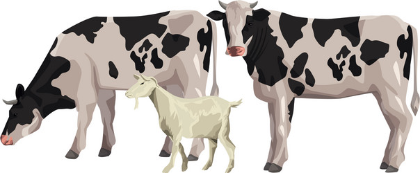 Cow and goat Royalty Free Vector Image - VectorStock