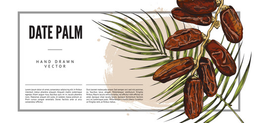 Date Palm Vector Images (over 5,900)