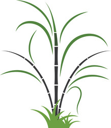 Sugar cane icon Royalty Free Vector Image - VectorStock