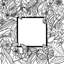 Tropical square frame Royalty Free Vector Image