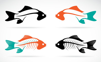 Fish Vector Images (over 440,000)