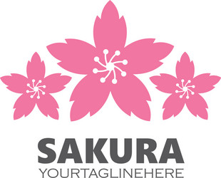 Sakura flower design Royalty Free Vector Image