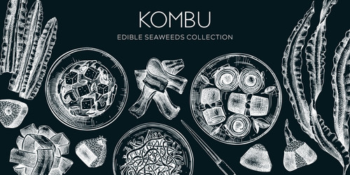 Hand-drawn kombu banner design edible seaweed Vector Image