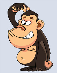 Monkey Belly Vector Images (40)