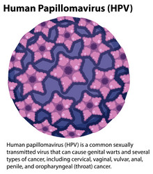 Human papillomavirus with explanation Royalty Free Vector