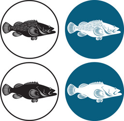 Red grouper fish Royalty Free Vector Image - VectorStock