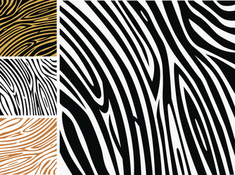 Fresh colorful zebra stripes background Royalty Free Vector