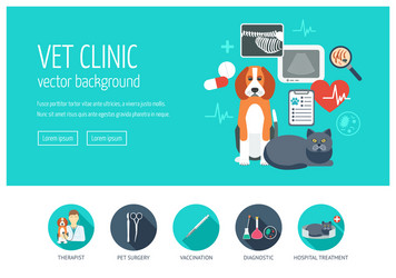 Veterinary clinic web design concept for website Vector Image