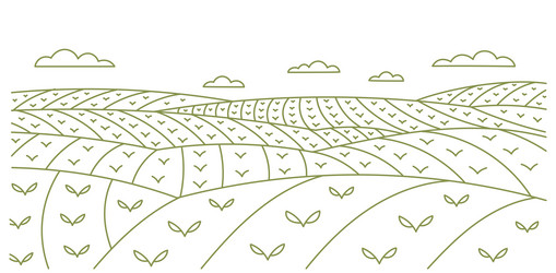 Young shoot green field spring landscape Vector Image