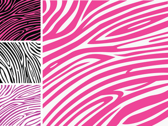 Fresh colorful zebra stripes background Royalty Free Vector