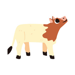 Flat cow design Royalty Free Vector Image - VectorStock