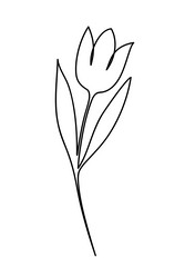 Single Tulip Vector Images (over 860)